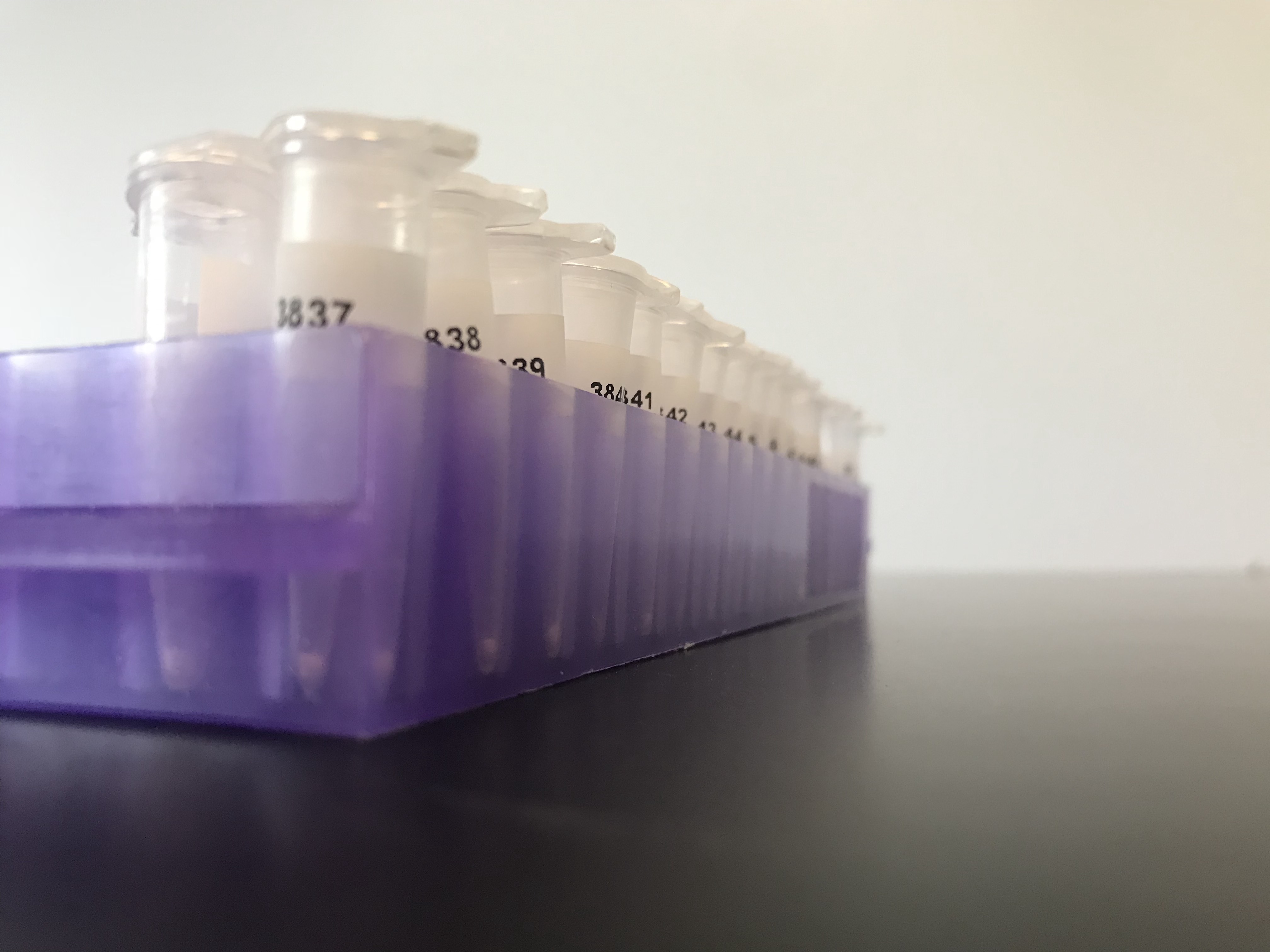 Research Labs – Tiffiny A. Tung