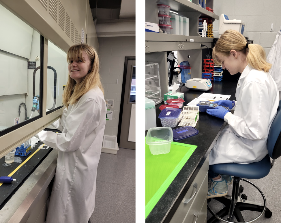 Research Labs – Tiffiny A. Tung