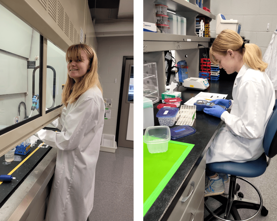 Research Labs – Tiffiny A. Tung